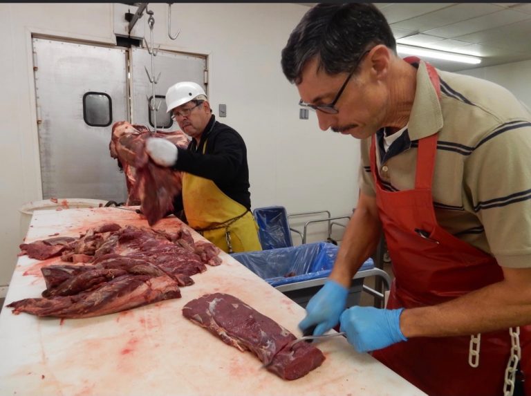 Home - Sallee Meat Processing